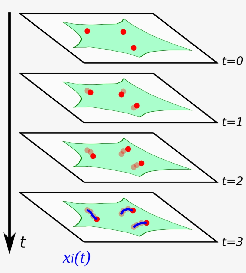 Parallel - Free Transparent PNG Download - PNGkey