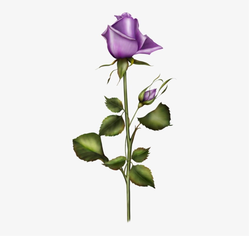 Tubes Fleurs - Flower - Free Transparent PNG Download - PNGkey