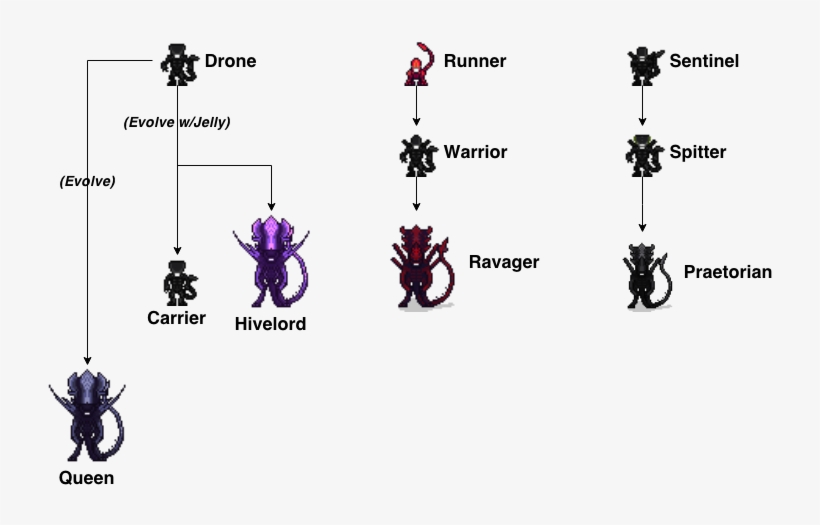 Evolution - Xenomorph Evolution - Free Transparent PNG Download - PNGkey