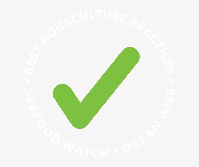 White Checkmark Transparent - Free Transparent PNG Download - PNGkey