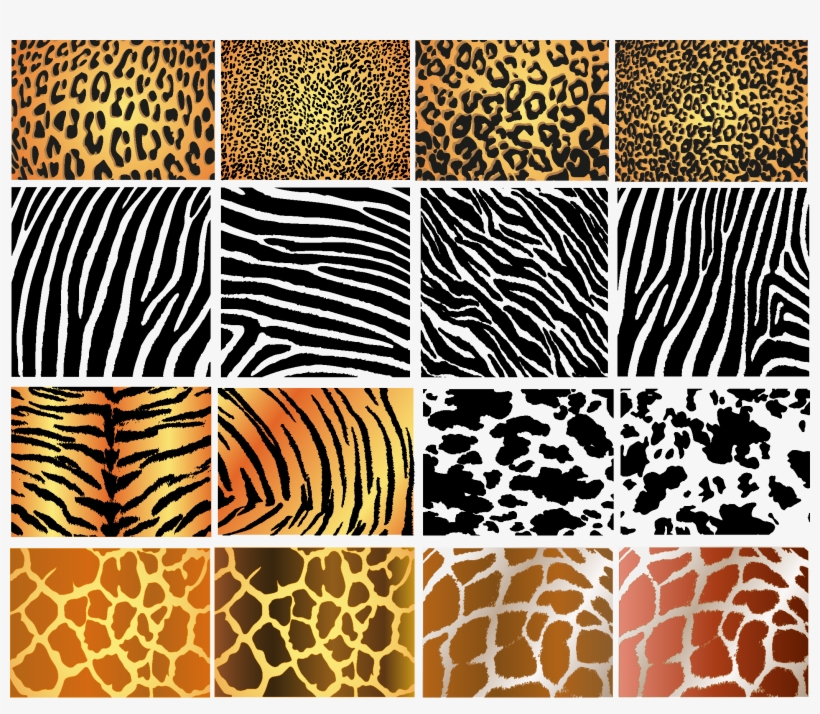 Animal Skin Textures - Free Transparent PNG Download - PNGkey