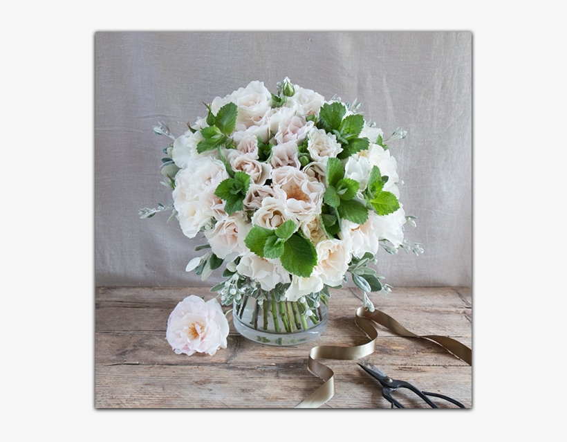 Jilly, Trade Sales - Garden Roses - Free Transparent PNG Download - PNGkey