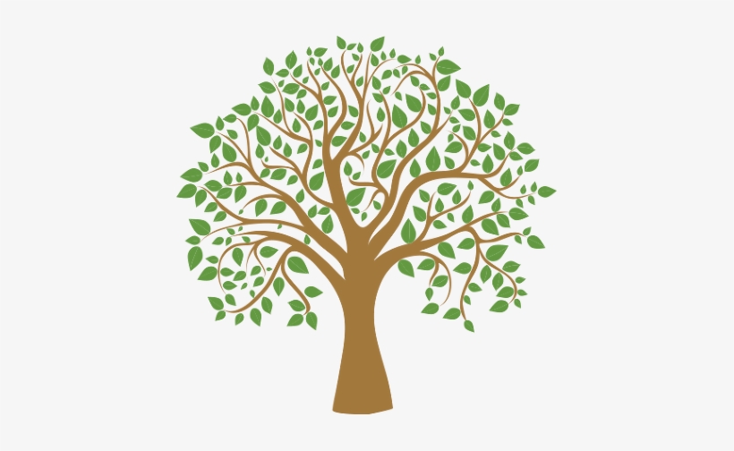 Tree Graphic Png - Sociology: The Basics [book] - Free Transparent PNG ...