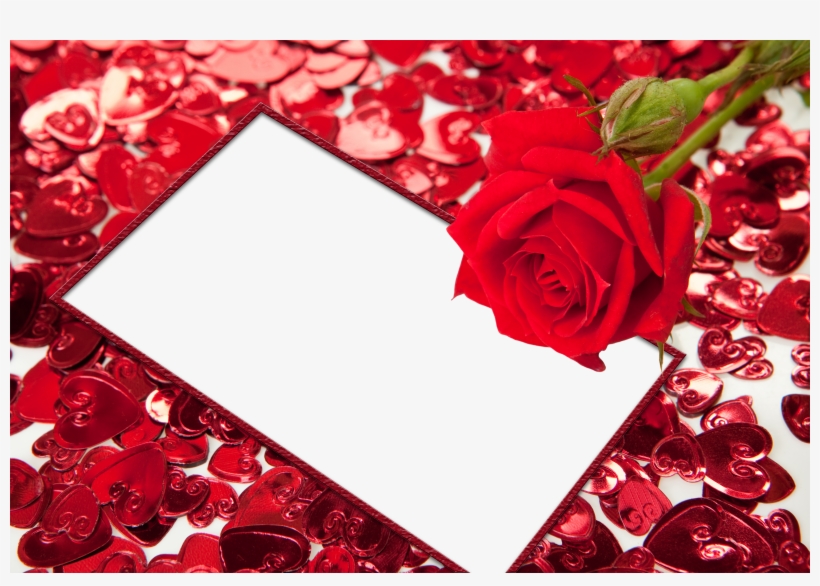 Rose Frame Png - Free Transparent PNG Download - PNGkey