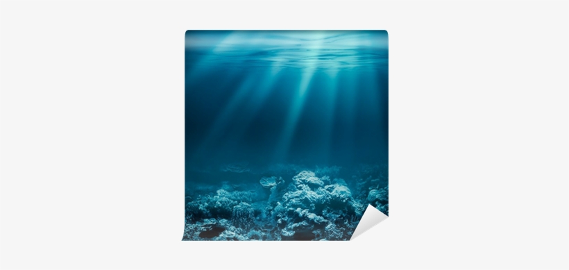 Sea Deep Or Ocean Underwater With Coral Reef As A Background - Ocean ...