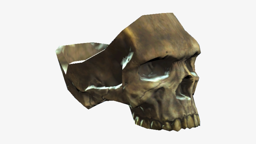 Capless Skull - Wiki - Free Transparent PNG Download - PNGkey