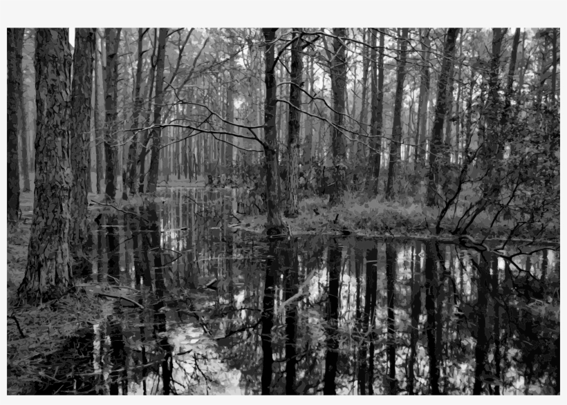 This Free Icons Png Design Of Swamp 2 Grayscale - Free Transparent PNG ...