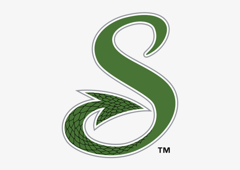 Shreveport Swamp Dragons Logo Png Transparent & Svg - New Zealand ...