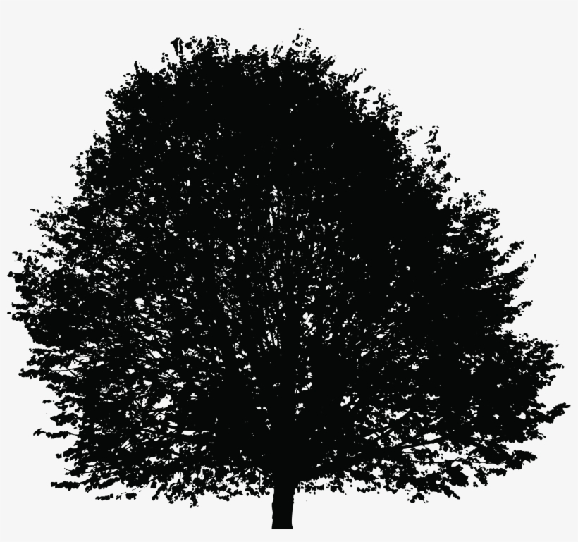 This Free Icons Png Design Of Large Lush Tree Silhouette - Free ...