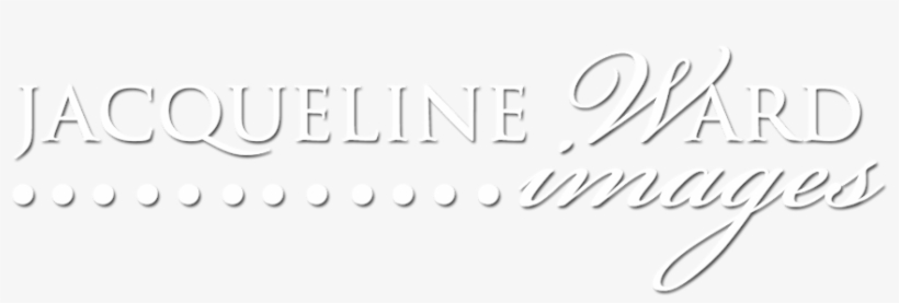 Jwi Logo Transparent Thinwatermark - Logo - Free Transparent PNG ...