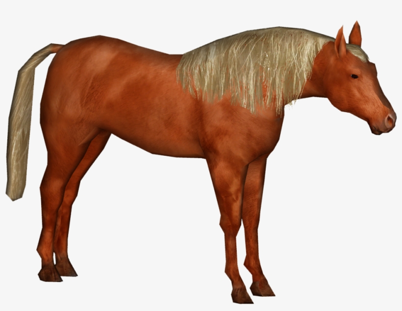 Elven Horse 7 - Wiki - Free Transparent PNG Download - PNGkey