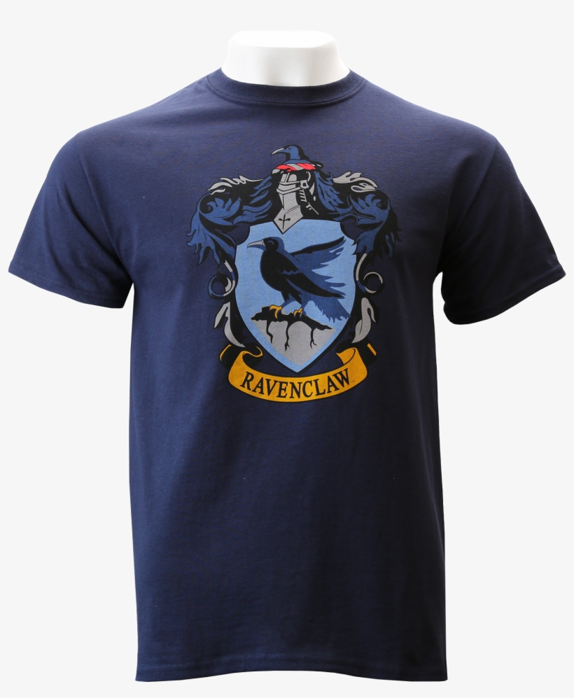 Harry Potter Indoor Wall Banner (ravenclaw) - Free Transparent PNG ...