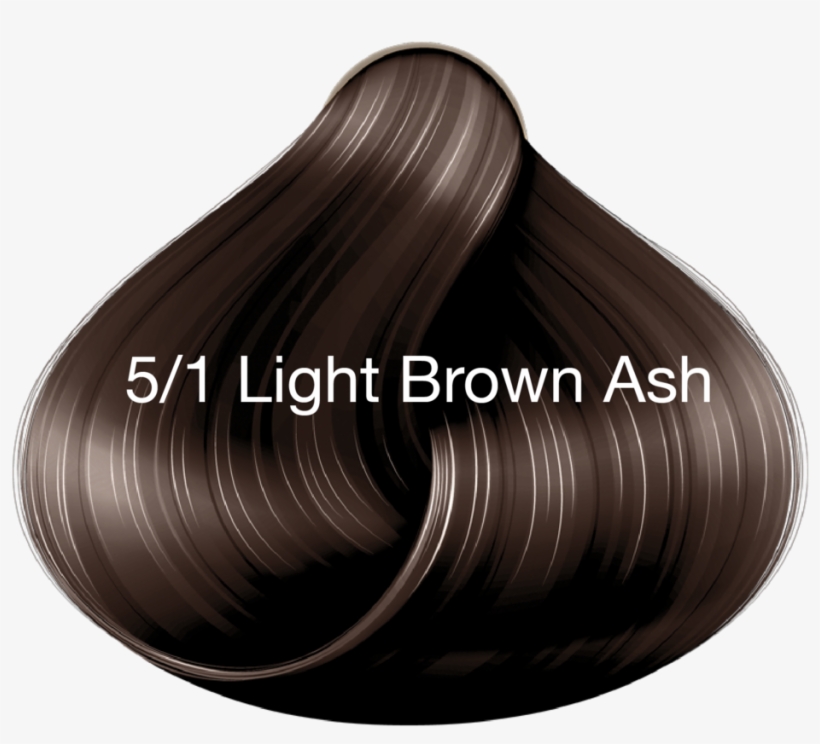 /1 Ash - Free Transparent PNG Download - PNGkey