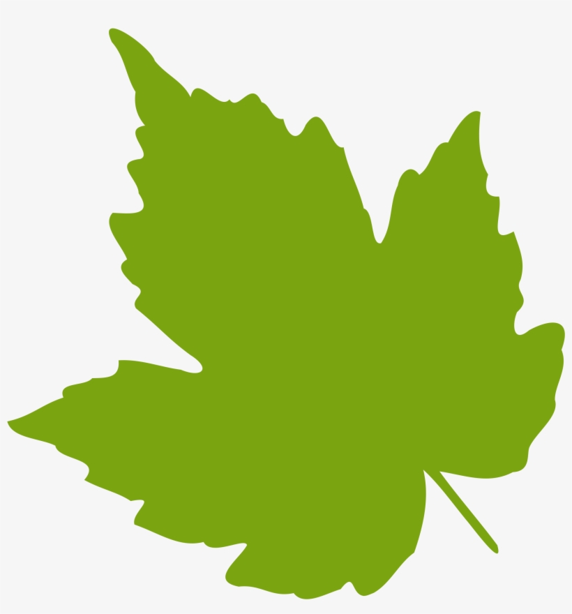 Leaf Clipart Ivy Leaf - Grape Leaf Clip Art - Free Transparent PNG ...
