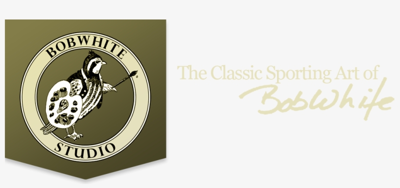 Bobwhite Studio - Bobwhite Studio Llc - Free Transparent PNG Download ...