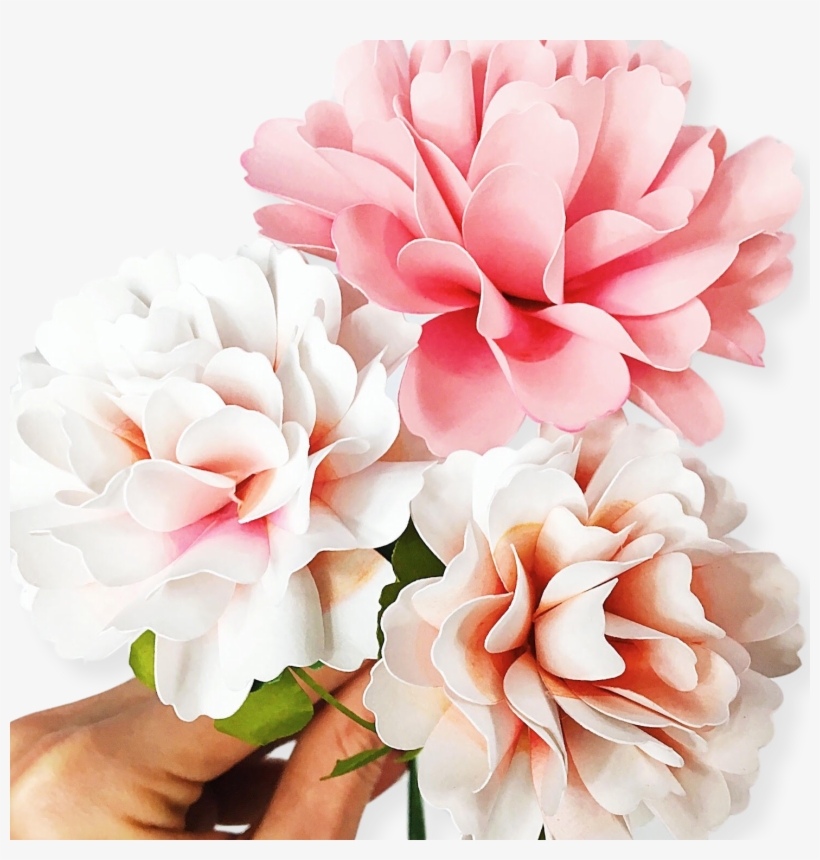Paper Flower Png - Carnation Paper Flower Template - Free Transparent ...