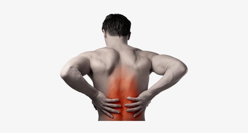 Back Pain Transparent Background - Ending Back Pain (ebook) - Free ...