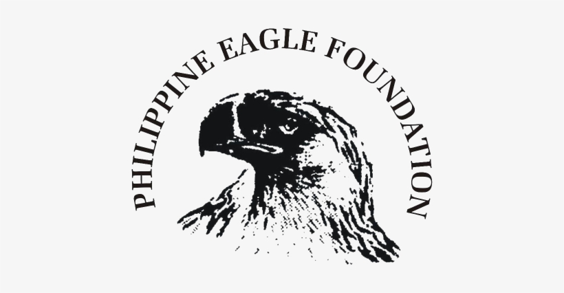 Philippine Eagle Clipart Philippine Eagle Logo - Philippine Eagle Davao ...