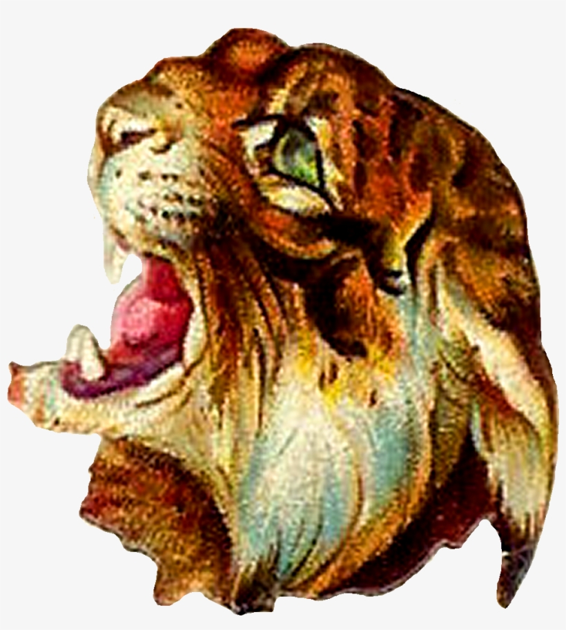 Tiger Digital Clip Art - Tiger Vintage Illustration - Free Transparent ...
