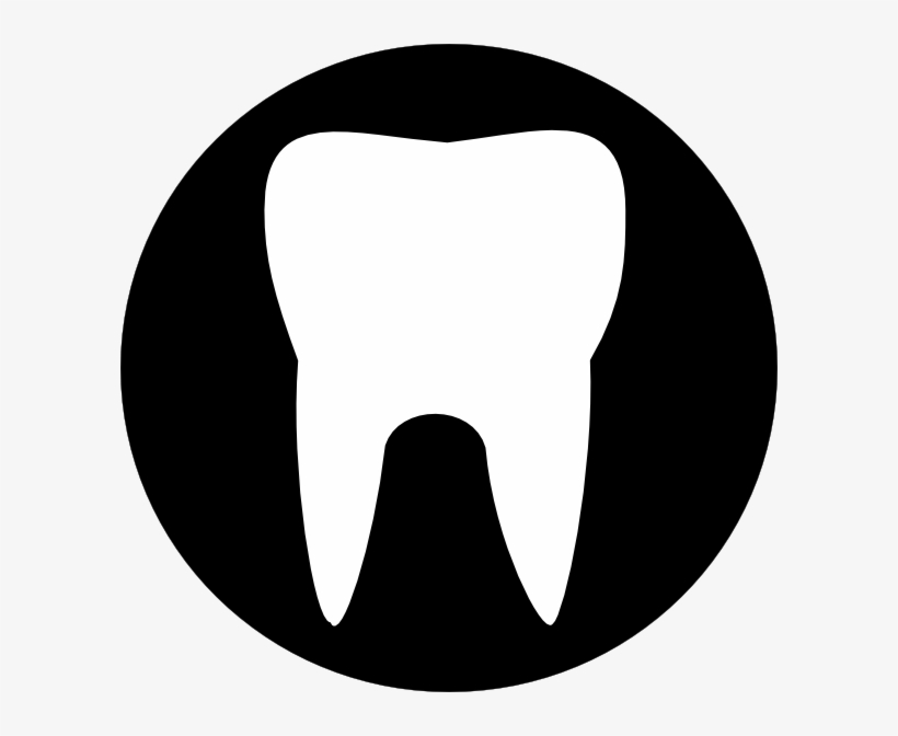 Clipart Tooth Outline - Free Transparent PNG Download - PNGkey