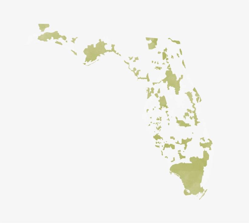 Florida Map Displaying Current Conservation Areas - Scrub Habitat In ...