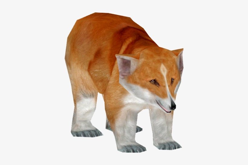 Pembroke Welsh Corgi - Red Fox - Free Transparent PNG Download - PNGkey