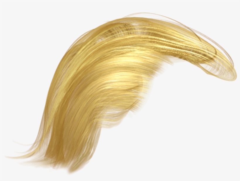 Trump's Hair Png - Donald Trump Hair Png Transparent - Free Transparent ...