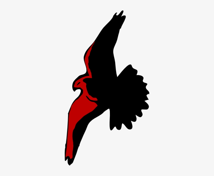Cartoon Hawk Flying - Free Transparent PNG Download - PNGkey
