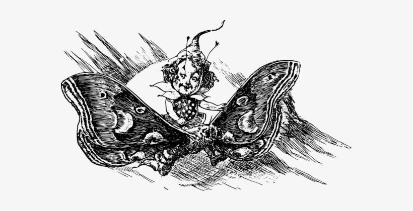 Butterfly Geometer Moths Elf Wing - Moth - Free Transparent PNG ...