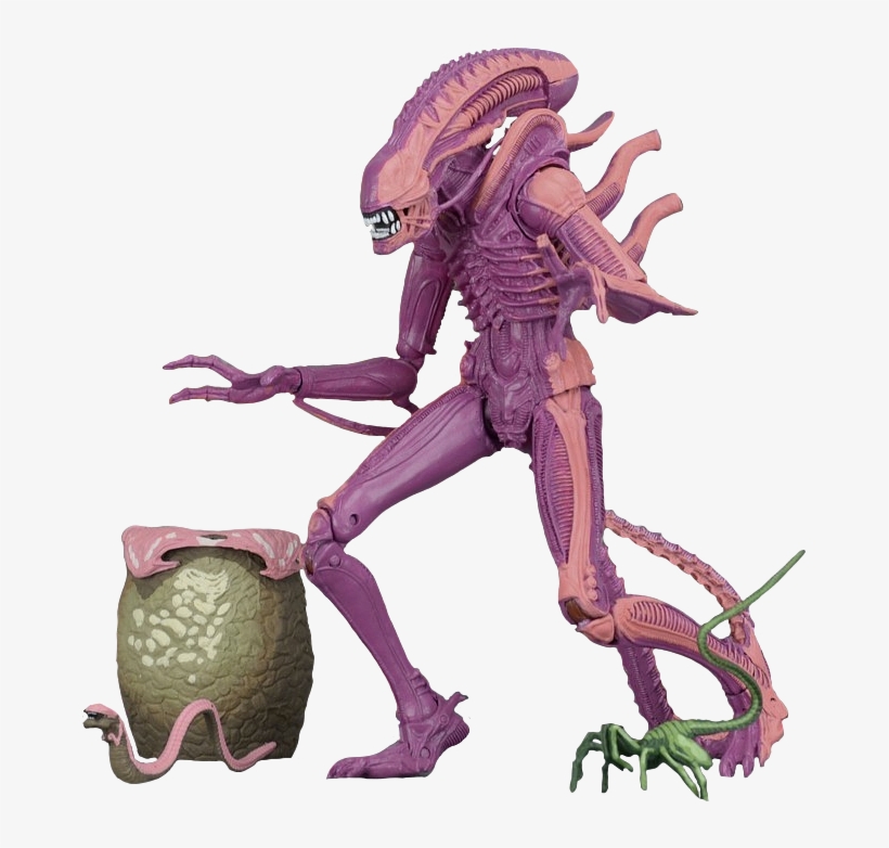 Xenomorph Warrior Arcade Appearance 9” Action Figure - Neca Aliens 7 ...