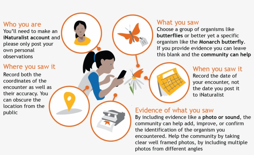 This Includes Encounters With Signs Of Organisms Like - Observation In ...