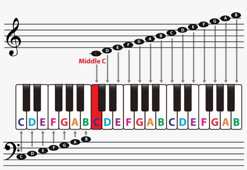 Continue To Sharps And Flats Steps And Accidentals - Middle C On A ...