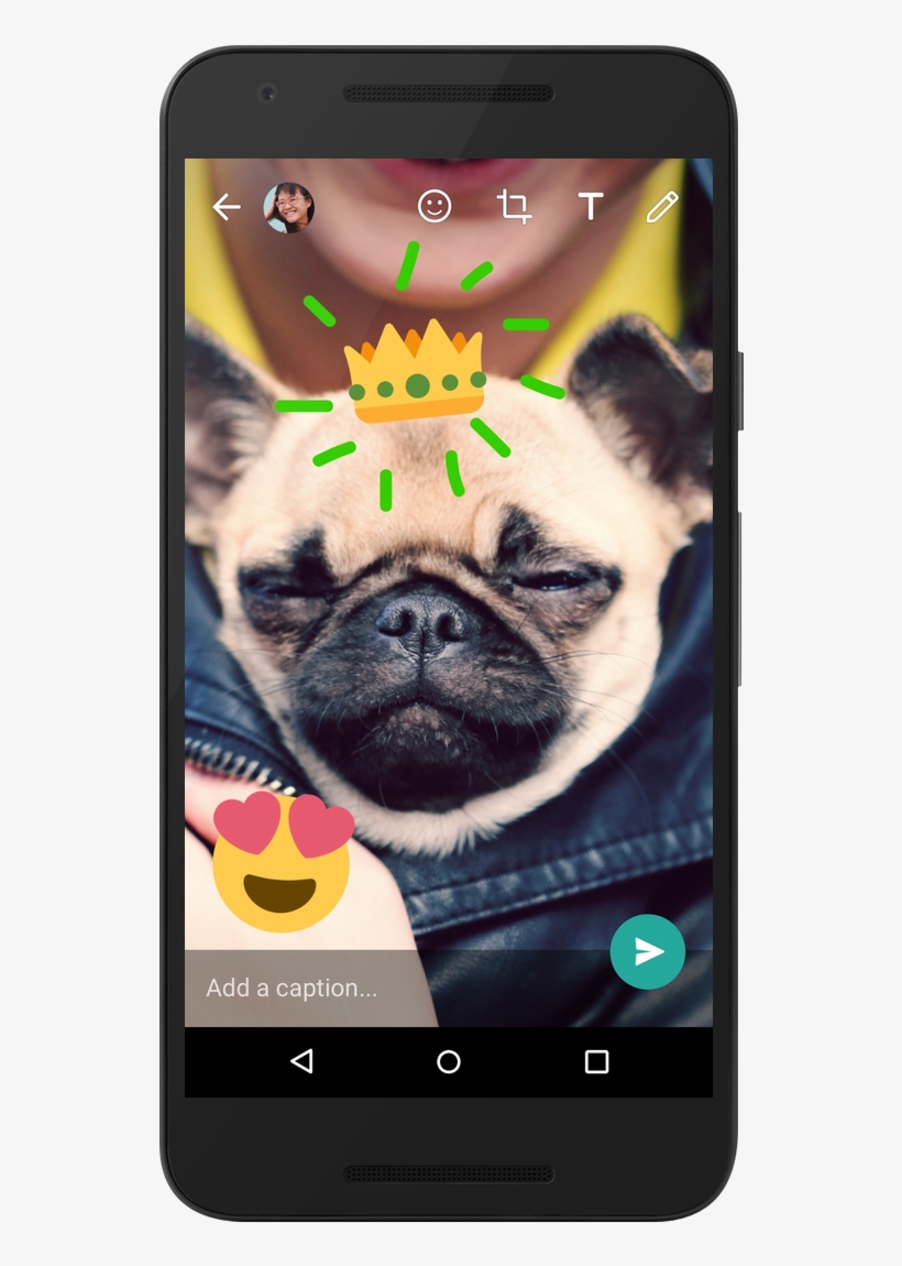 Whatsapp Camera - Free Transparent PNG Download - PNGkey
