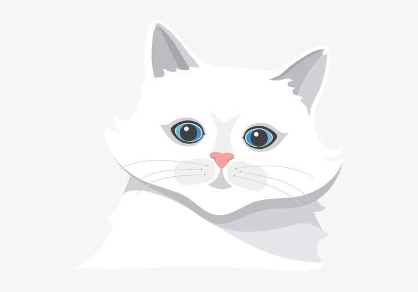 Contract This Deadly Disease Is Exposure To An Infected - Rabies - Free ...