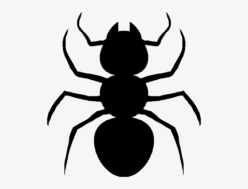 Ant - Top - Free Transparent PNG Download - PNGkey