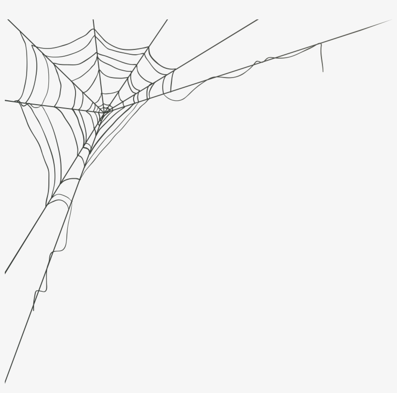 Spiderweb Png - Free Transparent PNG Download - PNGkey