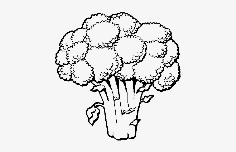 Broccoli Coloring Page - Broccoli Coloring Pages - Free Transparent PNG ...