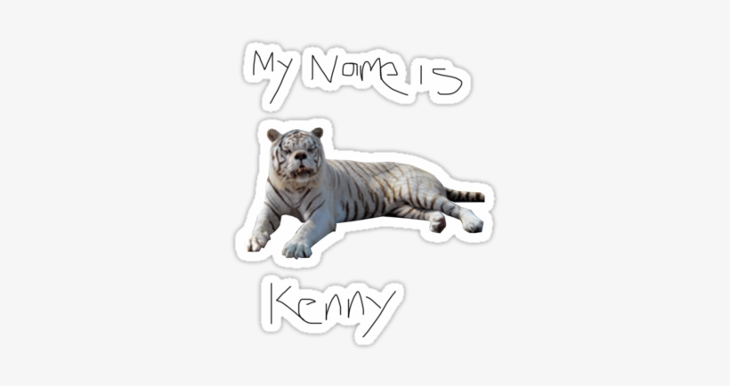 Kenny The Down Syndrome Tiger Png - Free Transparent PNG Download - PNGkey