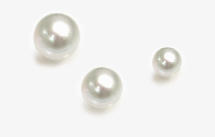 Transparent Pearl Png - Free Transparent PNG Download - PNGkey
