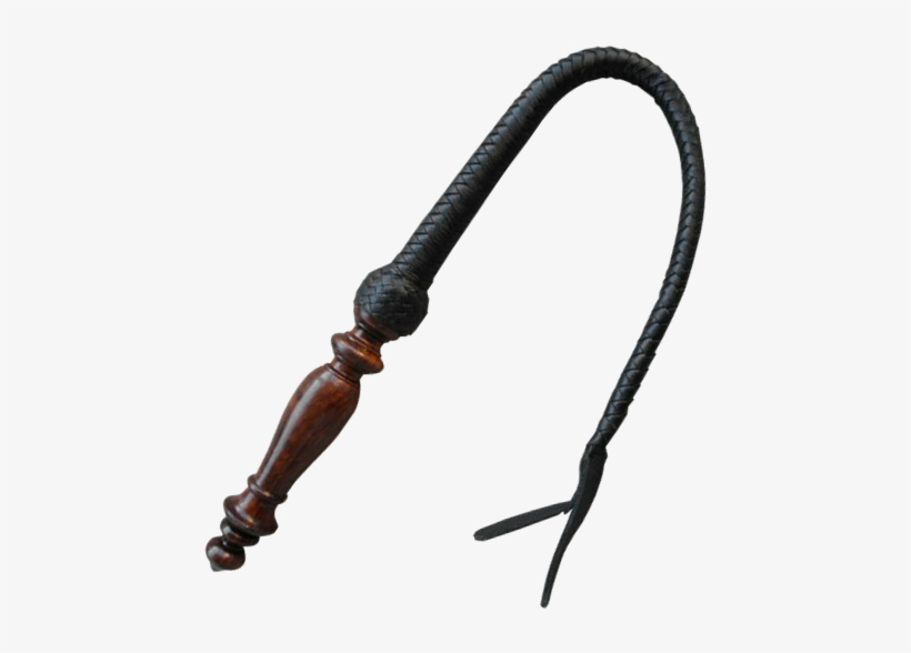 Stock.xchng - Free Transparent PNG Download - PNGkey