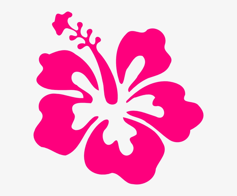 Pink Hibiscus Flower Clipart | Best Flower Site