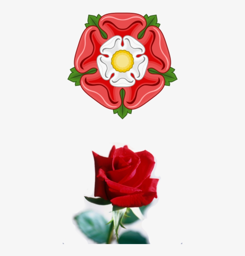 Tudor And Red Roses - English Rose - Free Transparent PNG Download - PNGkey