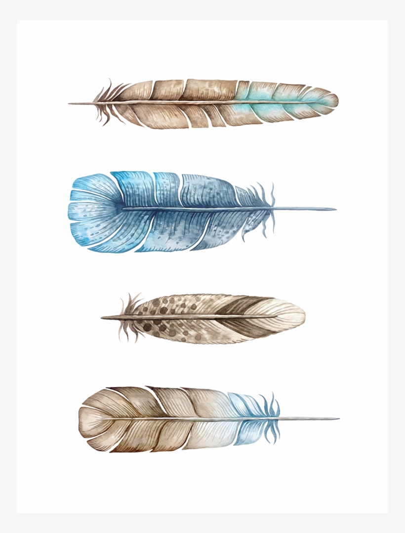 Blue Brown Watercolor Feather Print - Free Transparent PNG Download ...