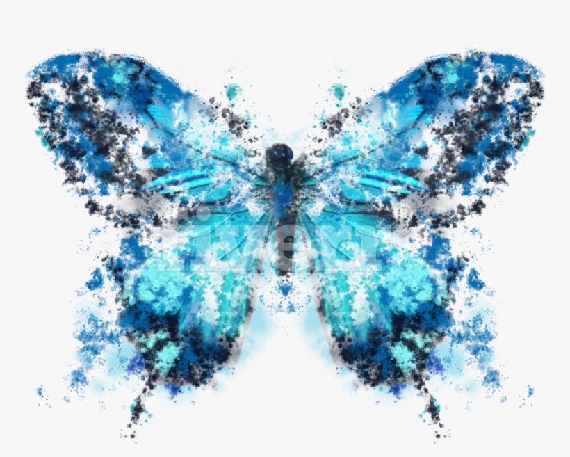 Swallowtail Butterfly - Free Transparent PNG Download - PNGkey