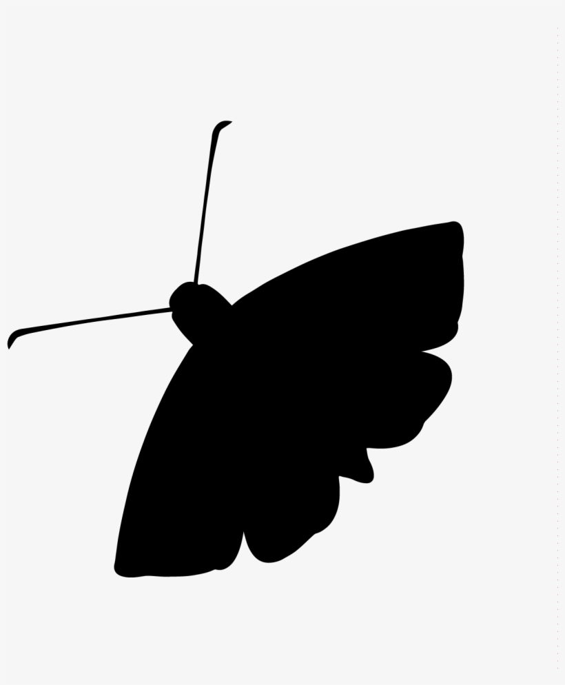 Moth Radio Hour - Free Transparent PNG Download - PNGkey