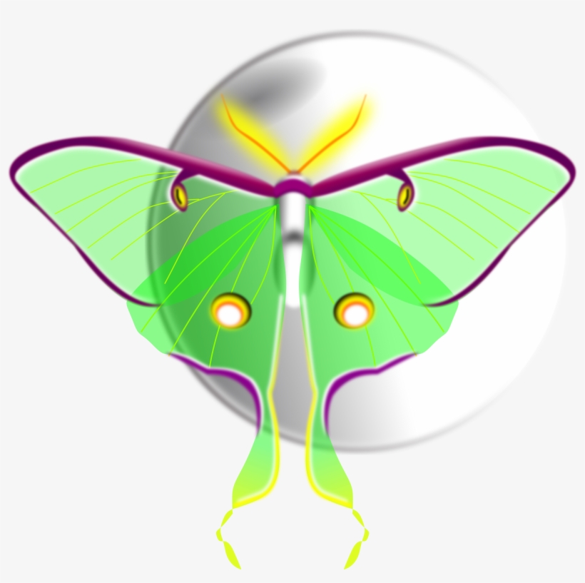 Png Royalty Free Download - Clip Art - Free Transparent PNG Download ...