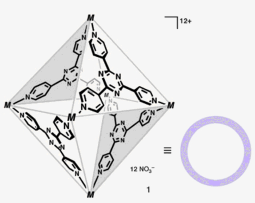Supramolecular Cage - Square Pyramidal Molecular Geometry - Free ...