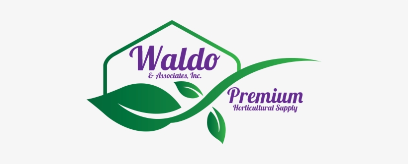 Waldo Logo - Portable Network Graphics - Free Transparent PNG Download ...