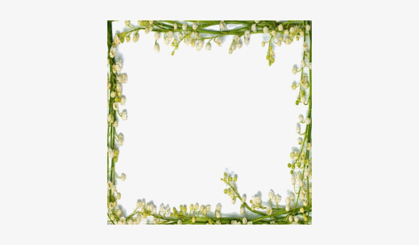 May Flower Frame Lily Of The Valley Frame - Flower Border - Free ...