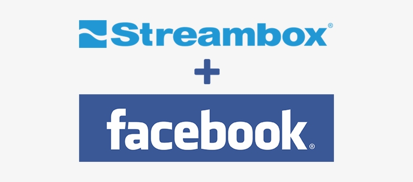 Streambox-logo Facebook - Soft And Cuddly, Mumbles Chubby Honey Bear ...